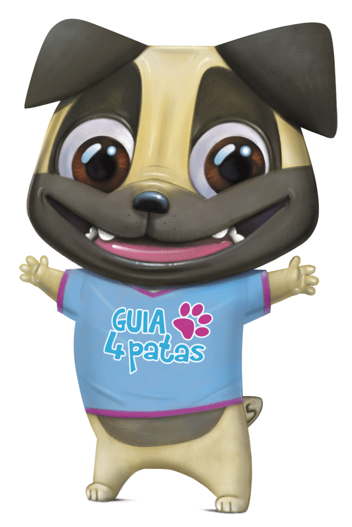 Mapa Pet - Guia 4 Patas